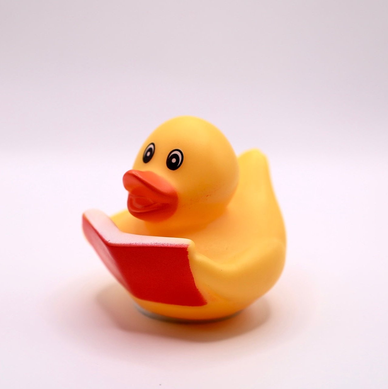 Yellow Reading Duck – Dashboard Ducks